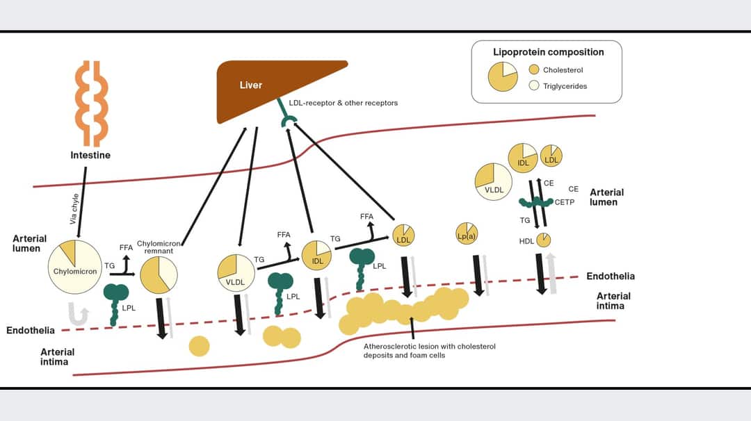 Forside DMJ | Ugeskriftet.dk