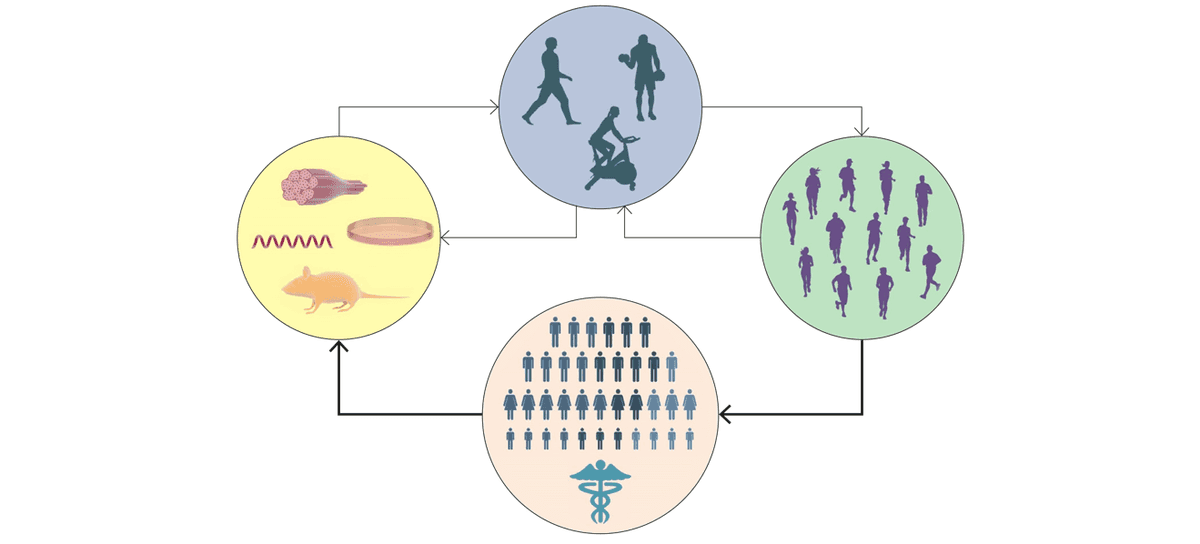 Forside DMJ | Ugeskriftet.dk