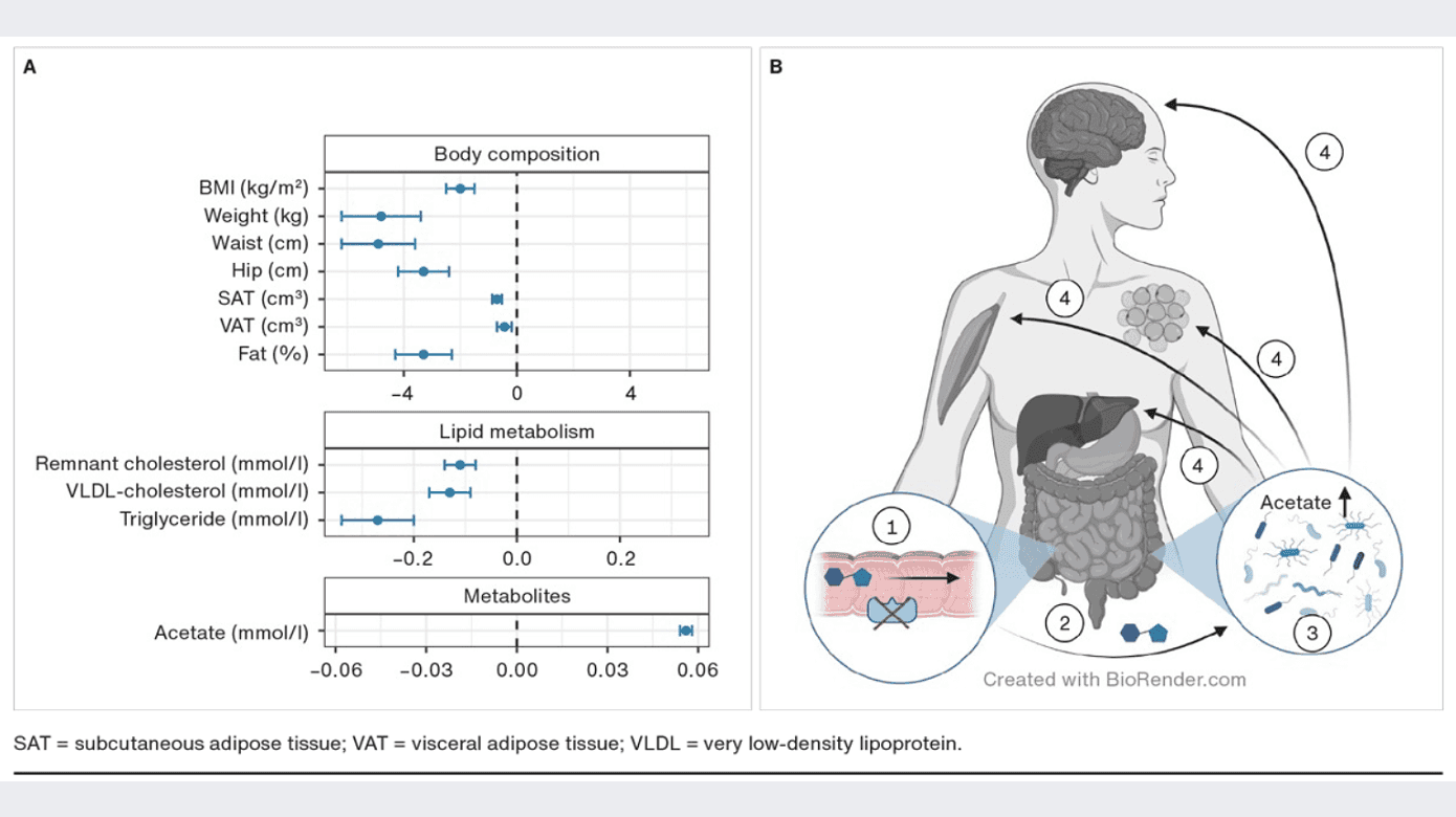Forside DMJ | Ugeskriftet.dk