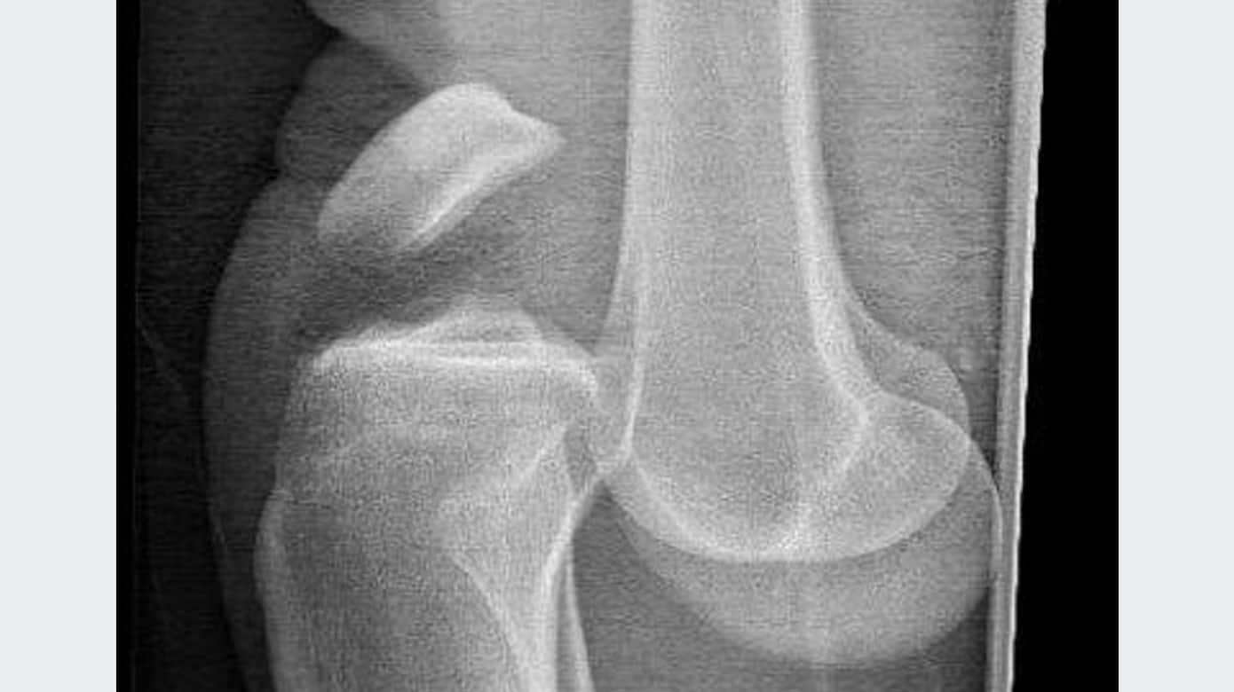 Forside DMJ | Ugeskriftet.dk