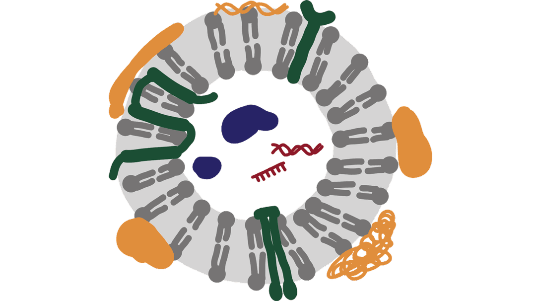 Forside DMJ | Ugeskriftet.dk