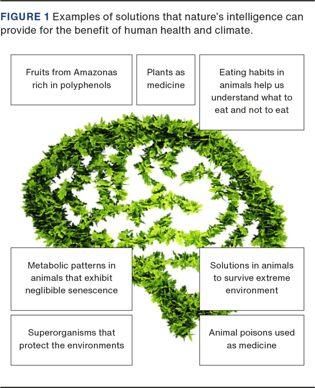 Biomimetics and planetary health – a review of human diseases in ...