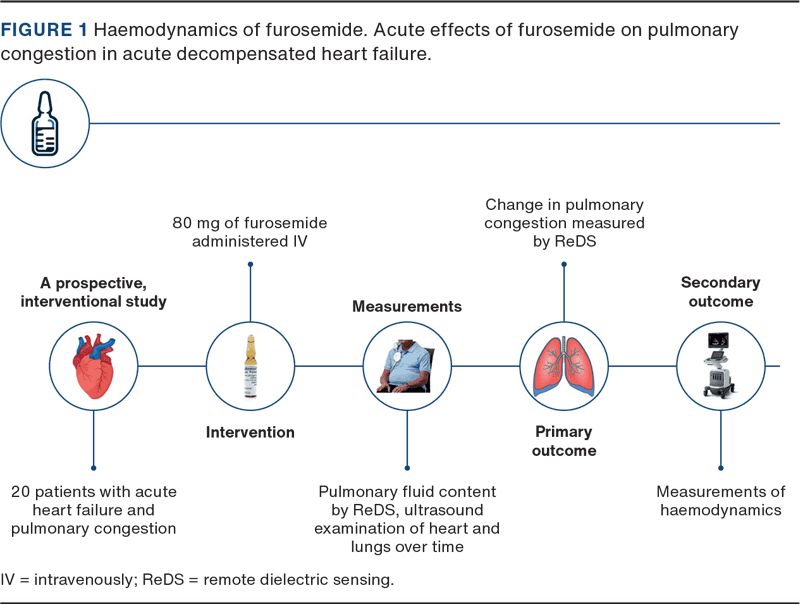 The acute effects of furosemide in acute heart failure assessed by ...