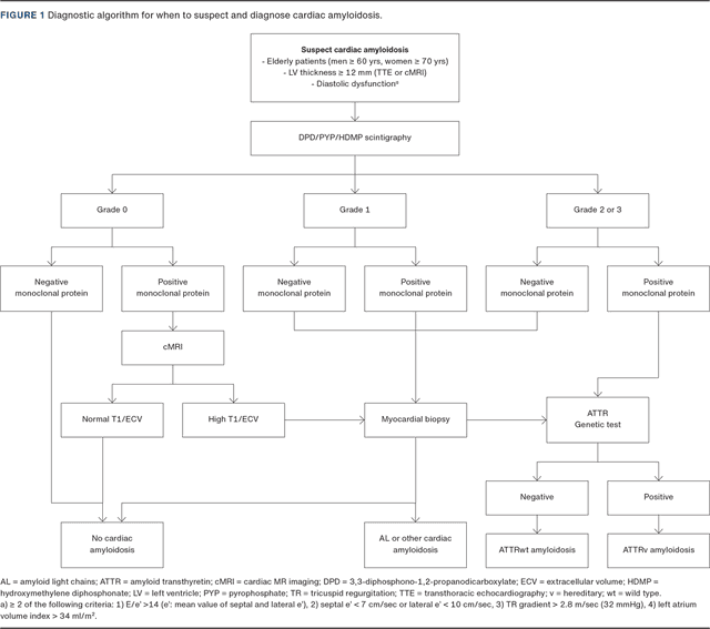 Clinical experience of a systemic algorithm for diagnosis of cardiac ...