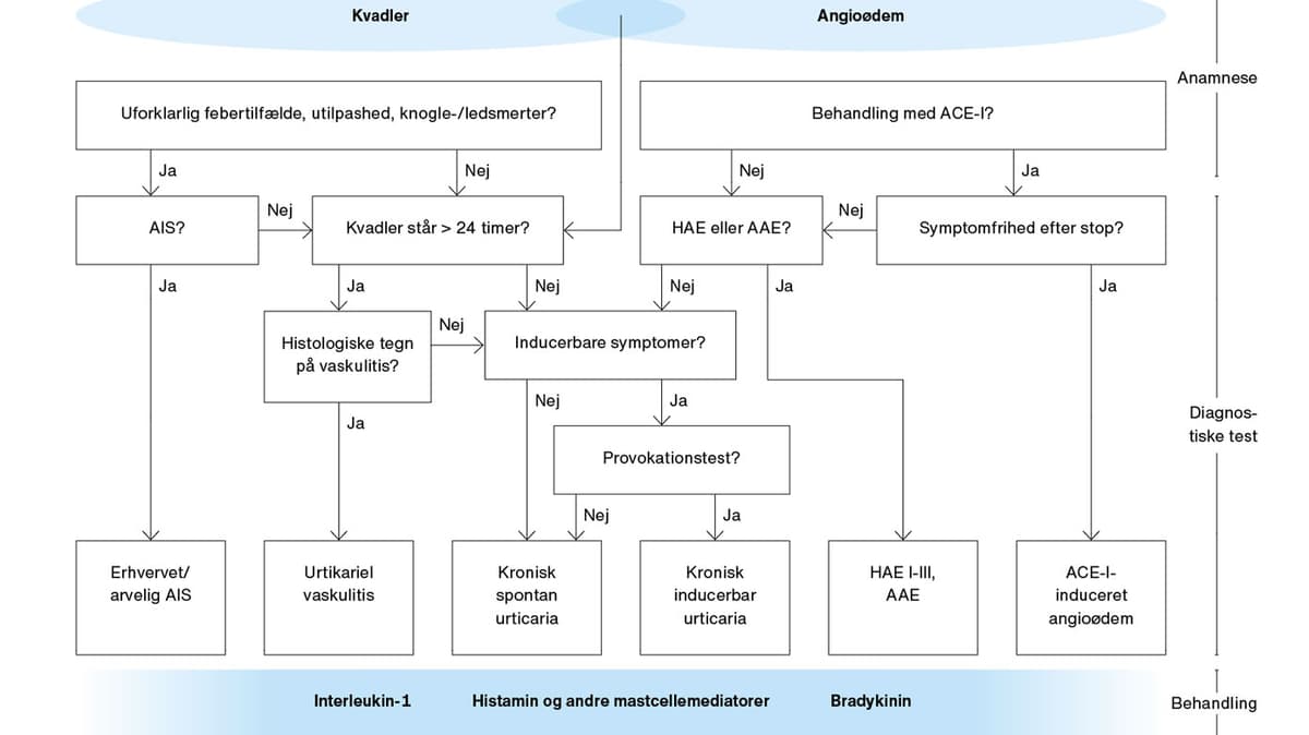 Urticaria | Ugeskriftet.dk