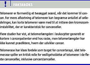 Telomerers rolle i cancer | Ugeskriftet.dk
