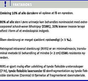 Retrograd intrarenal stenkirurgi - en minimalinvasiv metode til ...