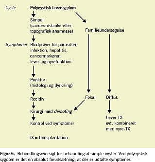 Levercyster | Ugeskriftet.dk