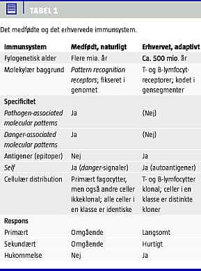 Medfødt immunitet, autoimmunitet og autoinflammation | Ugeskriftet.dk