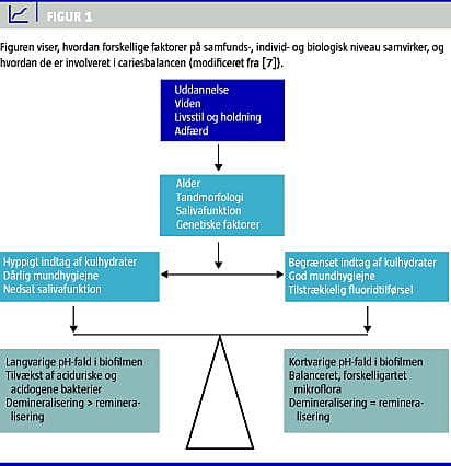 Caries set fra et økologisk perspektiv | Ugeskriftet.dk