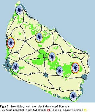Tætheder af skovflåten (Ixodes ricinus) og koeksistens af Louping ill ...