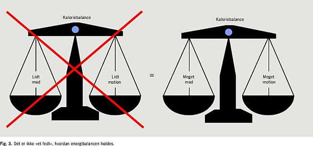 Hellere fed og fit end tynd og tam | Ugeskriftet.dk