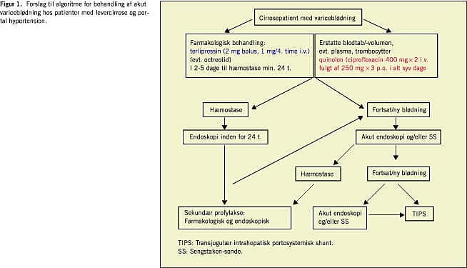 Antibiotikaprofylakse ved variceblødning hos patienter med levercirrose ...