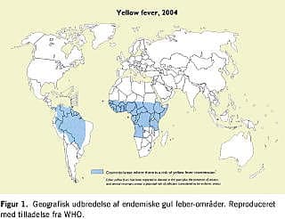 Flavivirusinfektioner: gul feber, denguefeber og japansk encefalitis ...