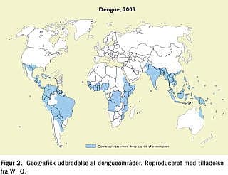 Flavivirusinfektioner: gul feber, denguefeber og japansk encefalitis ...