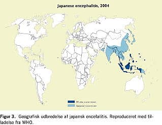 Flavivirusinfektioner: gul feber, denguefeber og japansk encefalitis ...
