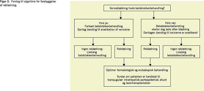 Behandling af øsofagusvaricer hos patienter med cirrose | Ugeskriftet.dk
