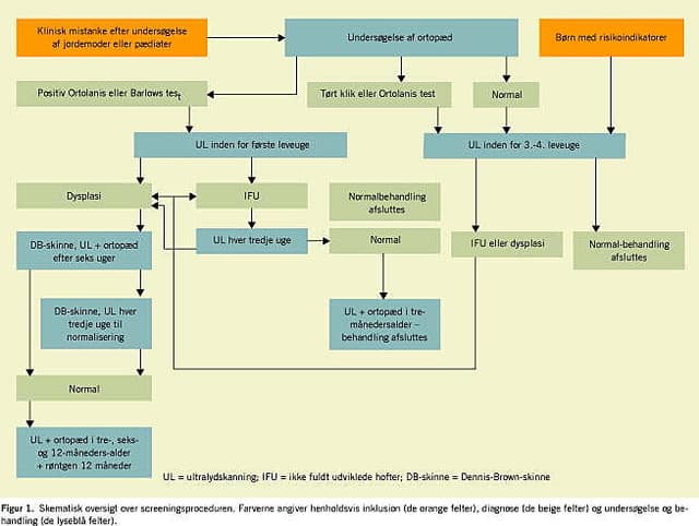 Ultralydskanning ved diagnostik og behandling af hoftedysplasi | Ugeskriftet.dk