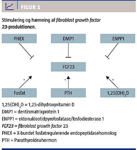 Medicinsk behandling af hypofosfatæmisk rakitis hos børn | Ugeskriftet.dk