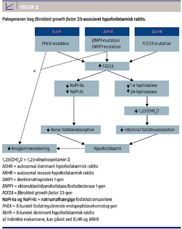 Medicinsk behandling af hypofosfatæmisk rakitis hos børn | Ugeskriftet.dk