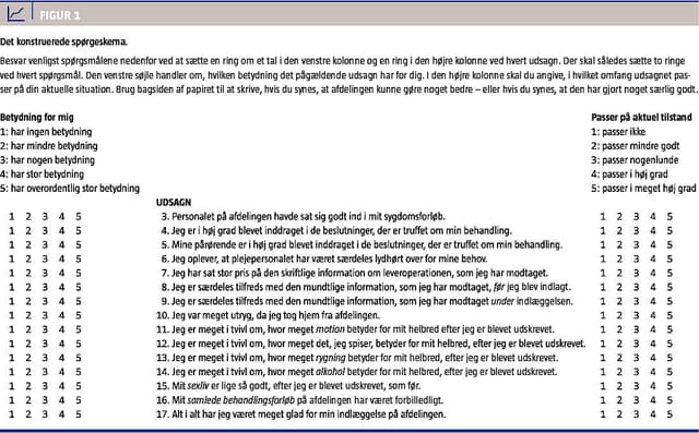 Forbedring af spørgeskema vedrørende Den Landsdækkende Undersøgelse af ...
