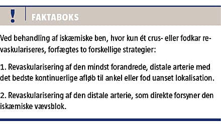 Angiosomrettet revaskularisering af kritisk iskæmiske ben ...