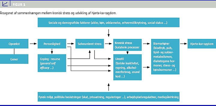 Stress og hjerte-kar-sygdom | Ugeskriftet.dk
