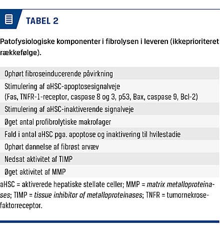 Levercirrose og leverfibrose er potentielt reversible | Ugeskriftet.dk