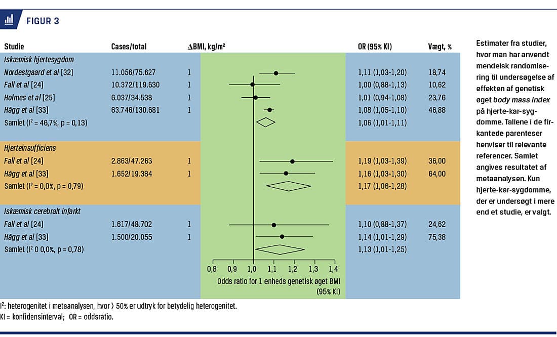 Fedme øger risikoen for hjerte-kar-sygdom | Ugeskriftet.dk