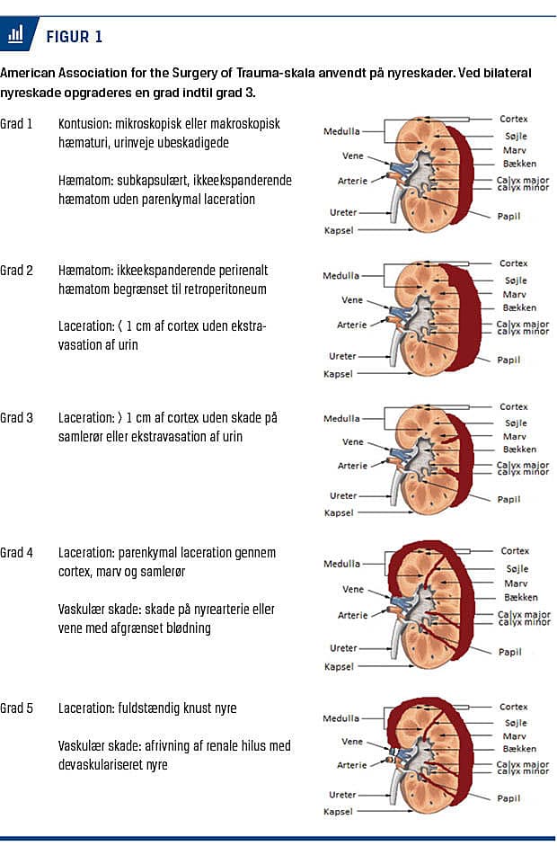 Stumpe nyretraumer hos børn | Ugeskriftet.dk