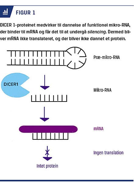 En familie med nedarvet DICER1-mutation | Ugeskriftet.dk