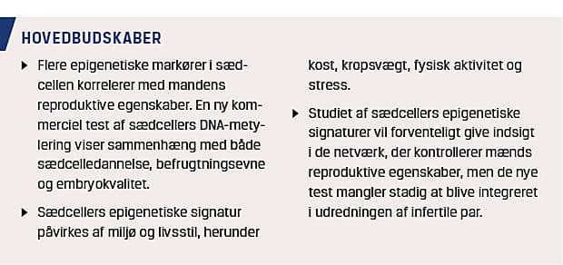 Betydning Af Sædcellens Epigenetik For Befrugtning Og Fosterudvikling