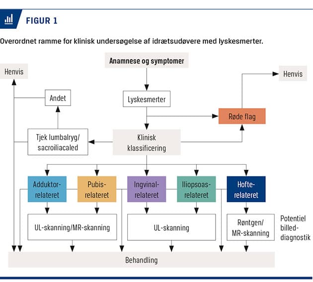 Undersøgelse og behandling af lyskesmerter hos idrætsudøvere | Ugeskriftet.dk