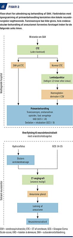 Aneurismal subaraknoidalblødning | Ugeskriftet.dk