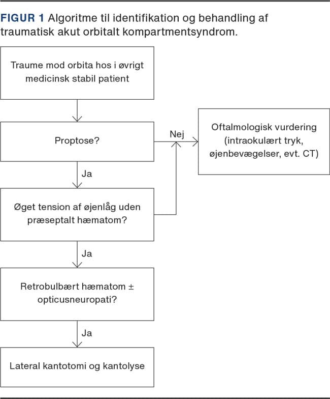 Diagnostik og behandling af traumatisk orbitalt kompartmentsyndrom ...